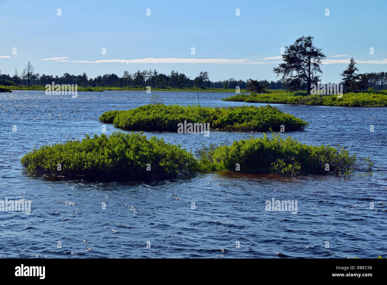 Seney wetlands hi-res stock photography and images - Alamy