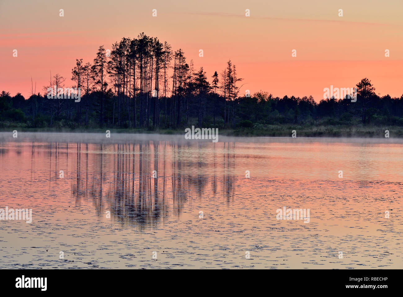 Seney wetlands at dawn in early summer, Seney National Wildlife Refuge ...