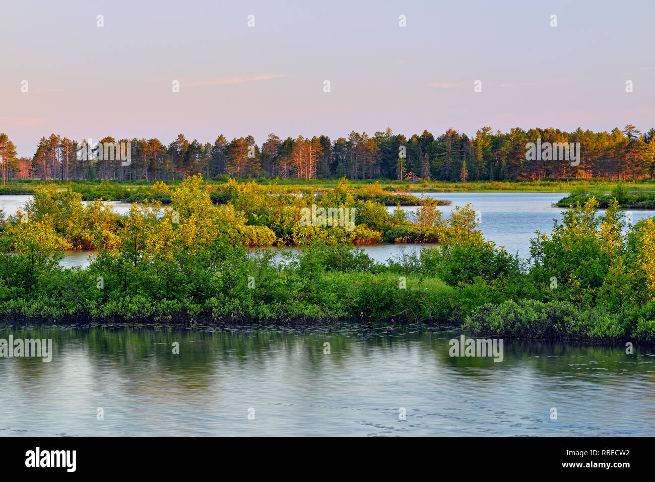 Seney wetlands at dawn in early summer, Seney National Wildlife Refuge ...