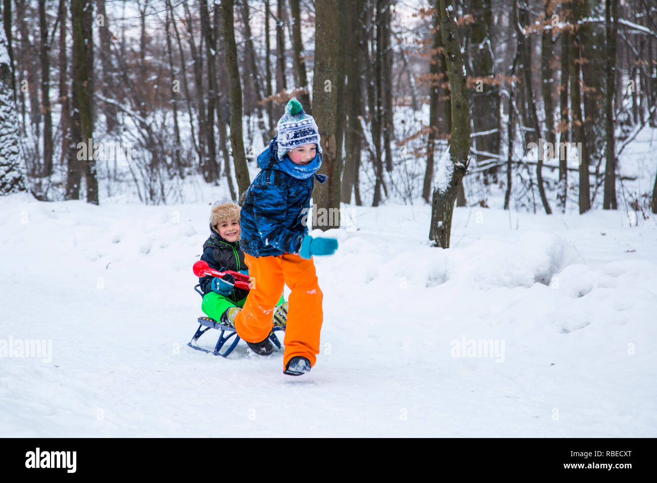 Two boys playing forest hi-res stock photography and images - Alamy
