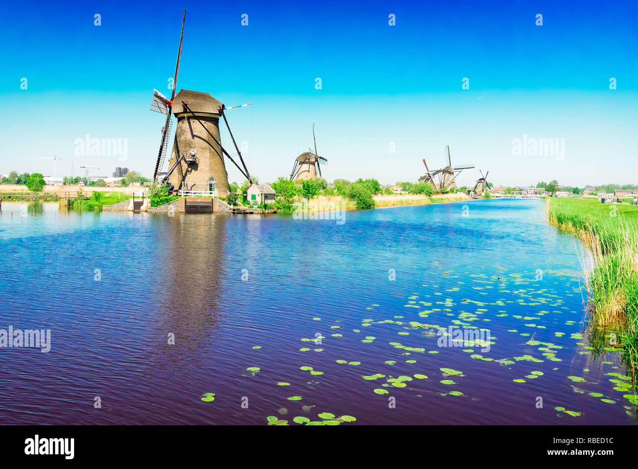 traditional dutch scenery with windmills in Kinderdijk at summer day ...