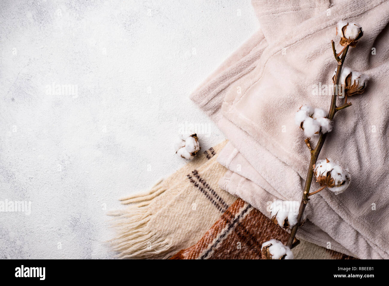 Cotton branch and blanket on light background Stock Photo - Alamy