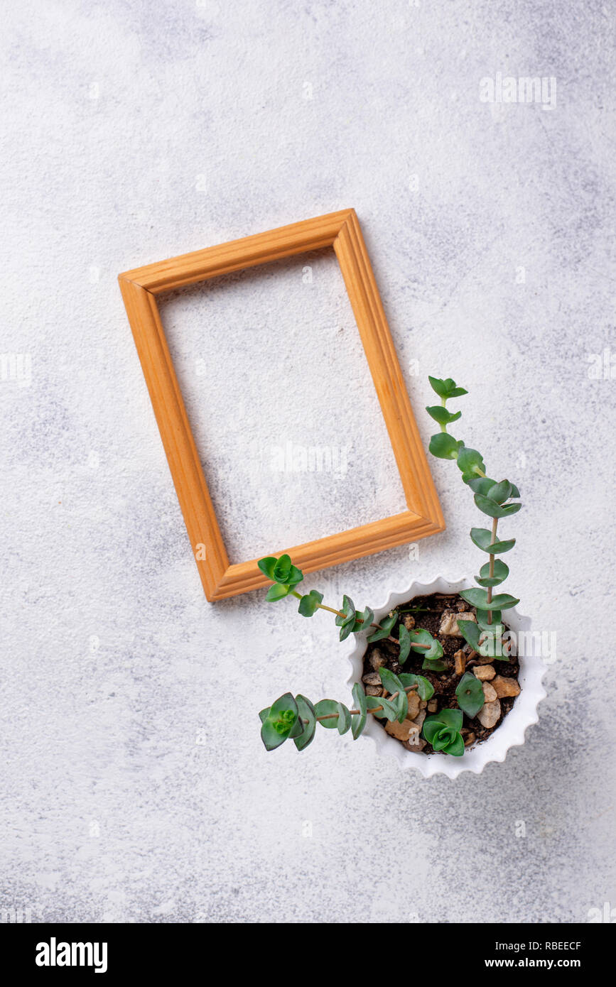 Wooden frame on light background Stock Photo - Alamy
