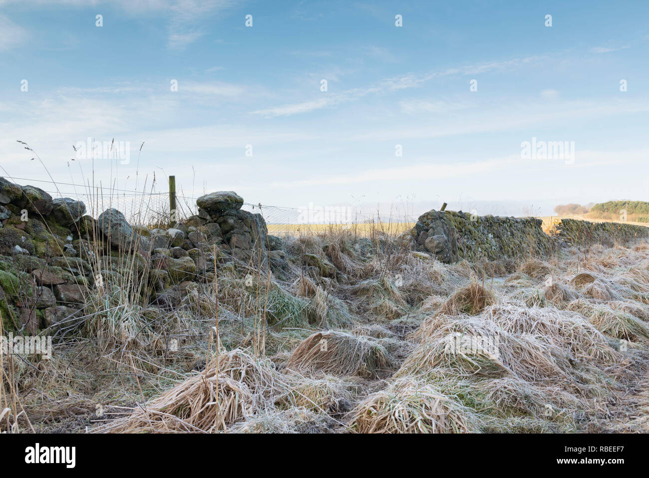 Drystane dyke hi-res stock photography and images - Alamy
