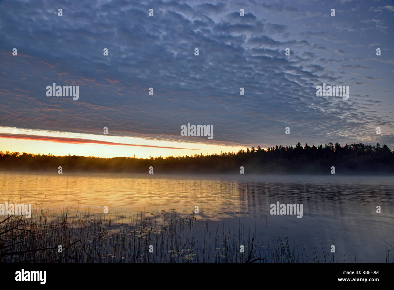 Predawn sky over Halfway Lake, Halfway Lake Provincial Park, Ontario ...