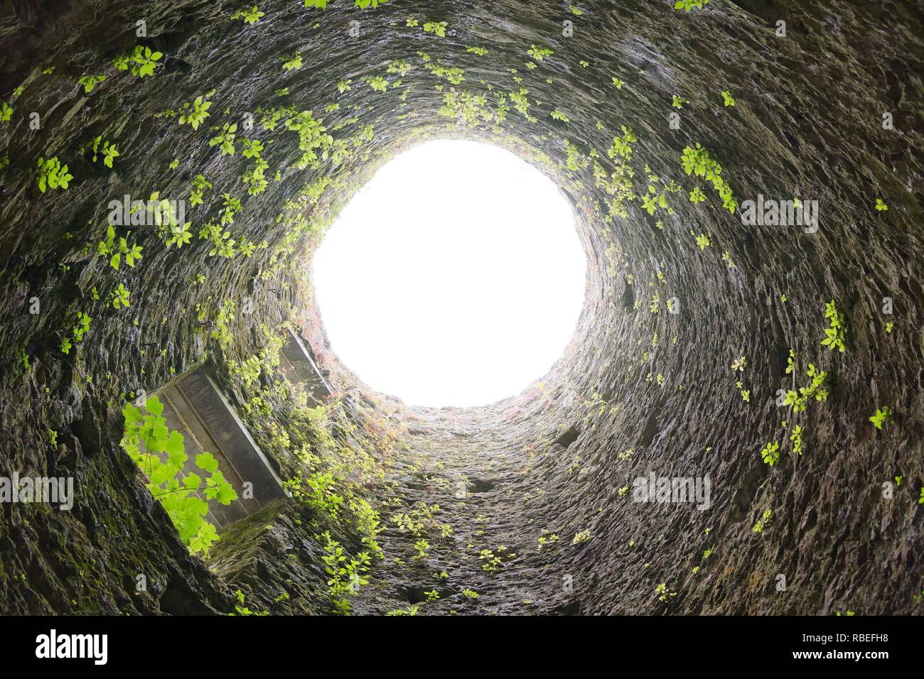 Woodlands tower hi-res stock photography and images - Alamy