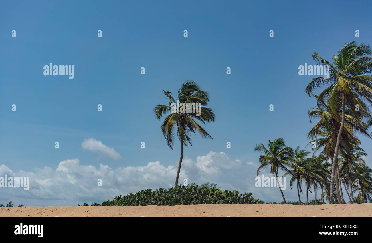 Benin landscape africa hi-res stock photography and images - Alamy