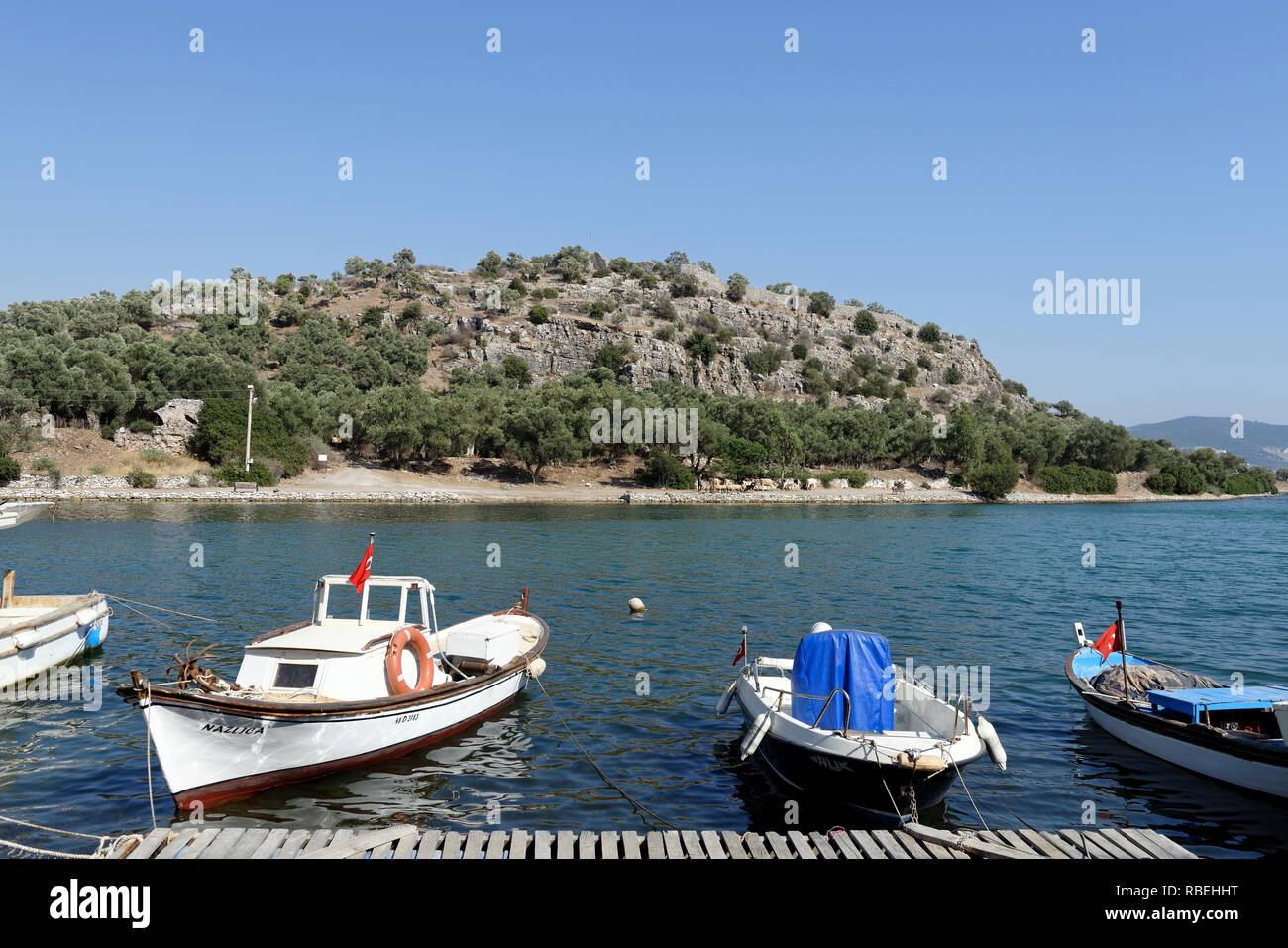View of the Acropolis of ancient city of Iasos from the modern town of ...