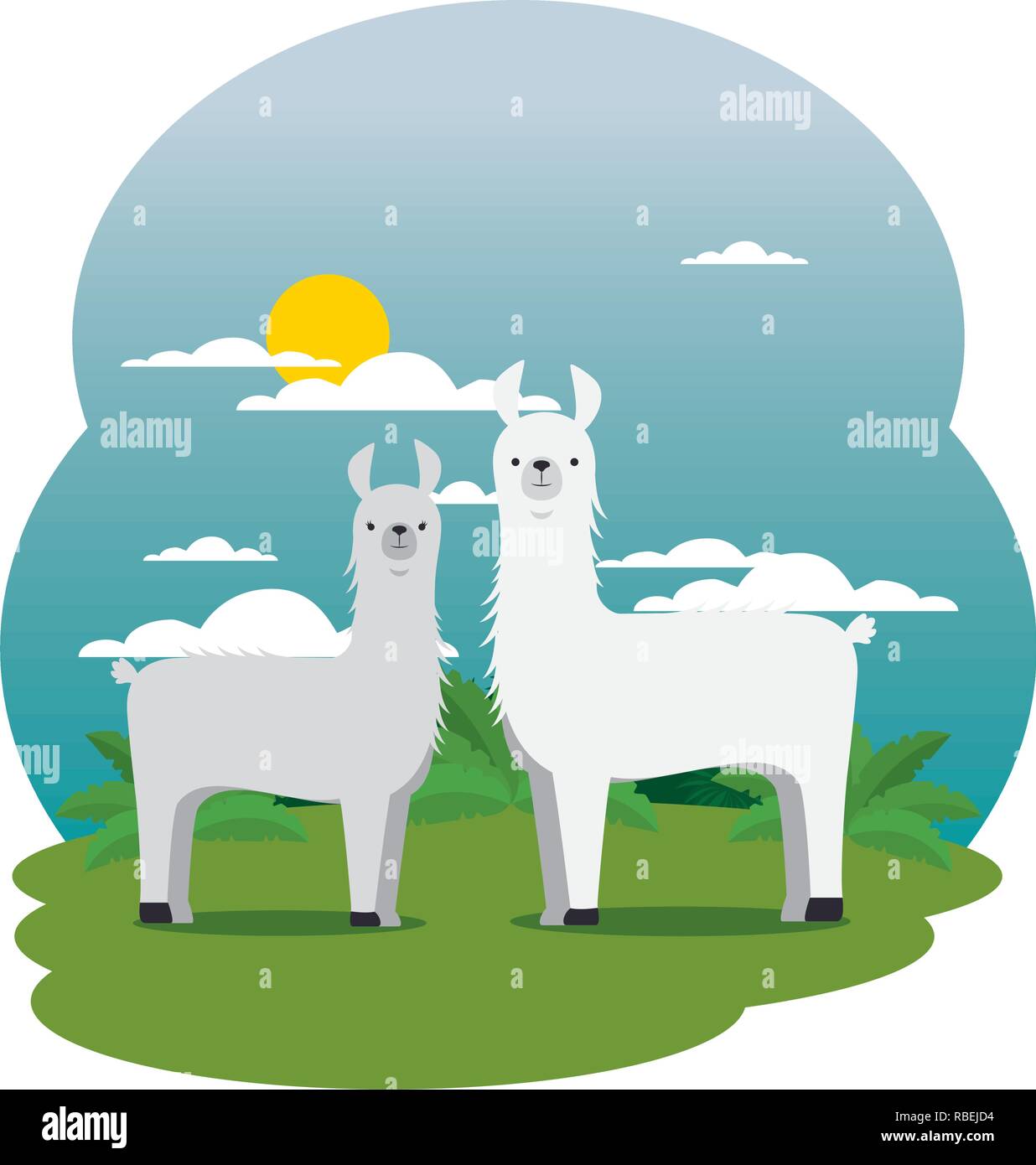 Llamas Stock Vector Images - Alamy