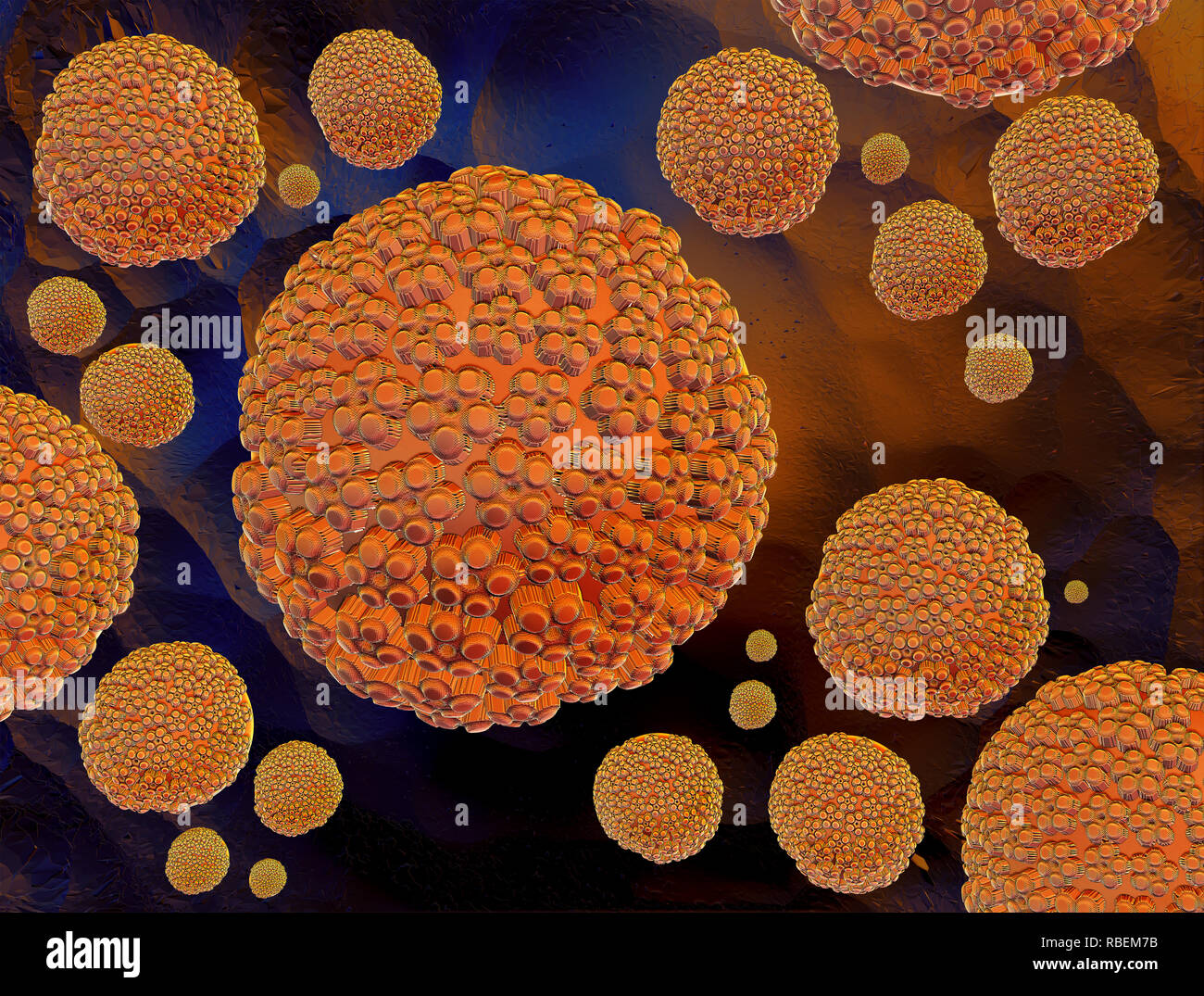 Papillomas Stock Photos & Papillomas Stock Images - Alamy