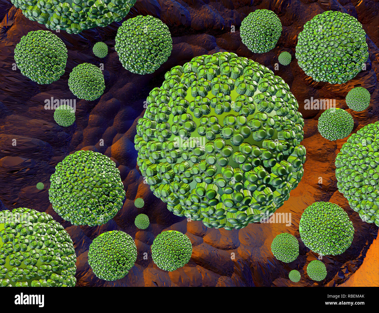 Papillomas Stock Photos & Papillomas Stock Images - Alamy