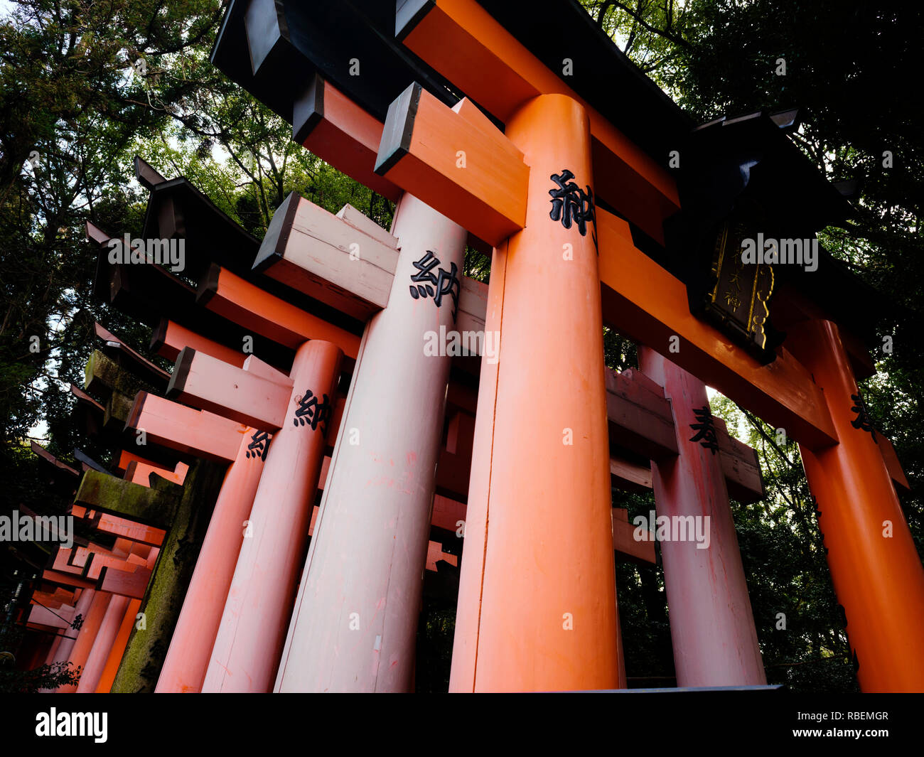 Fushimi Inari Taisha, Kyoto. The shrine, which is dedicated to fox ...