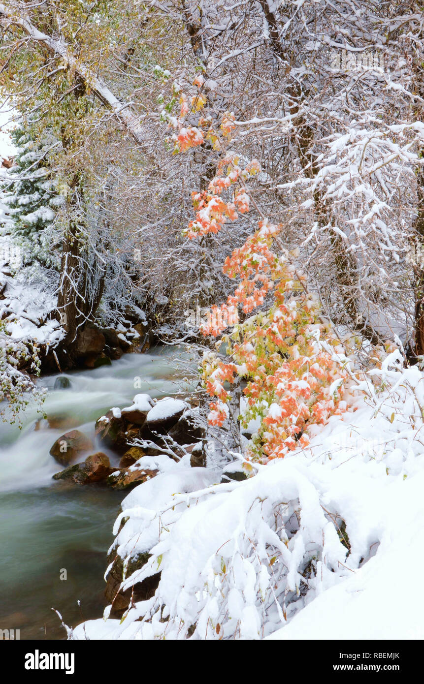 Lakes and winter lonely hi-res stock photography and images - Alamy