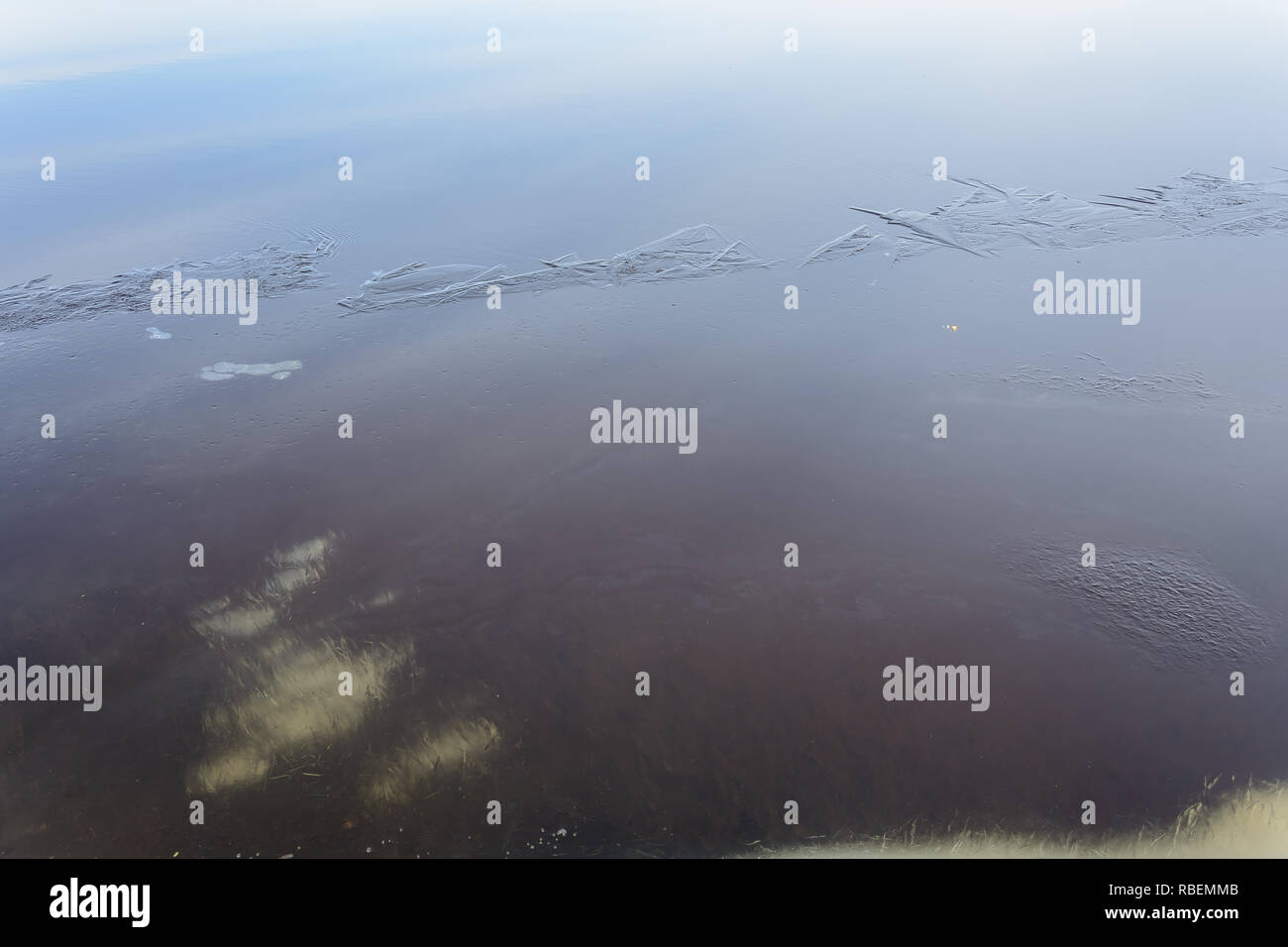 A thin layer of ice melts on the surface of river water Stock Photo - Alamy