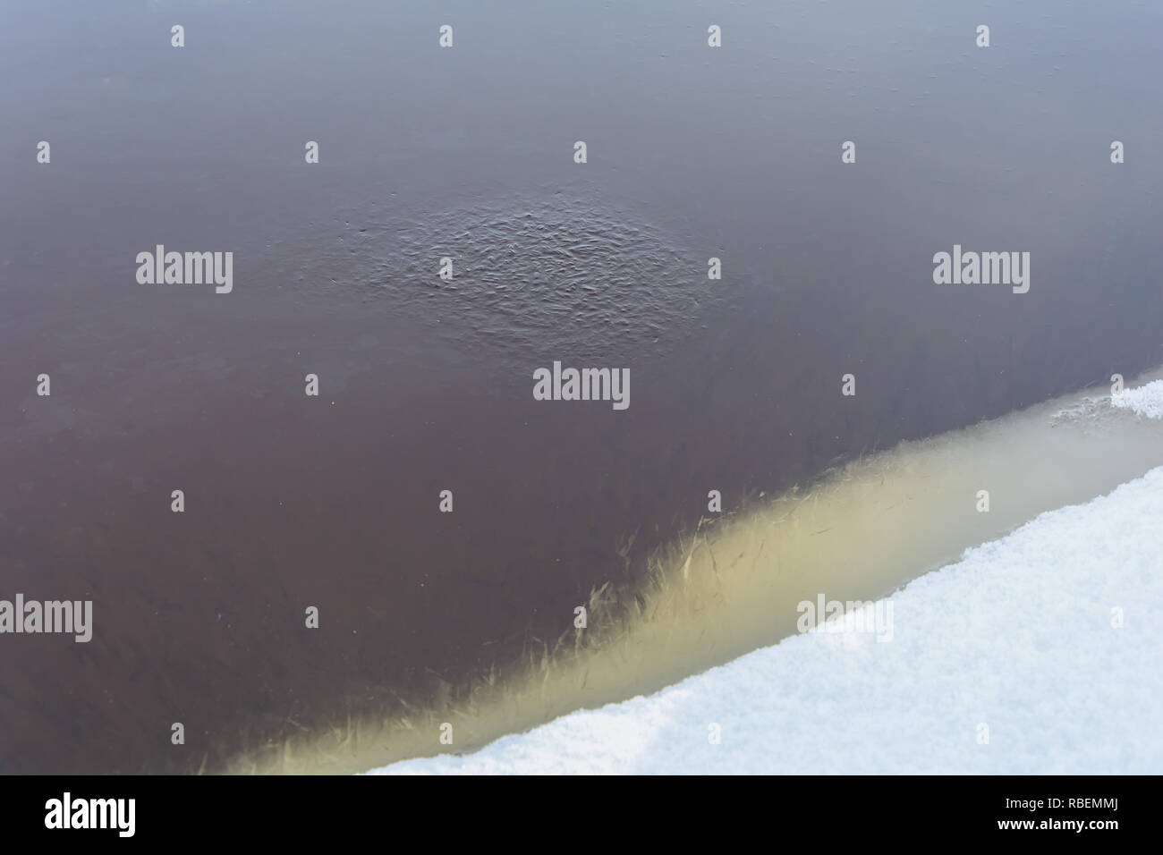 A thin layer of ice melts on the surface of river water Stock Photo - Alamy