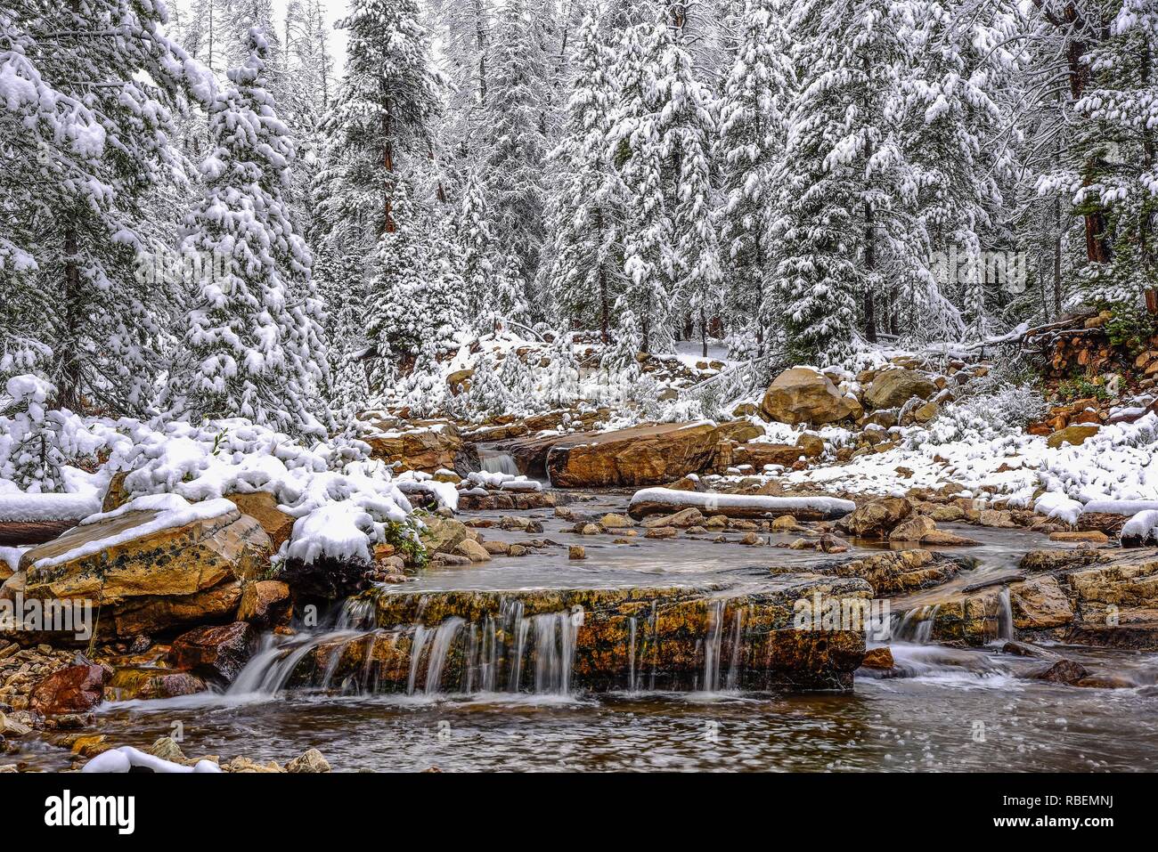Winter scenic with snow and water Stock Photo - Alamy
