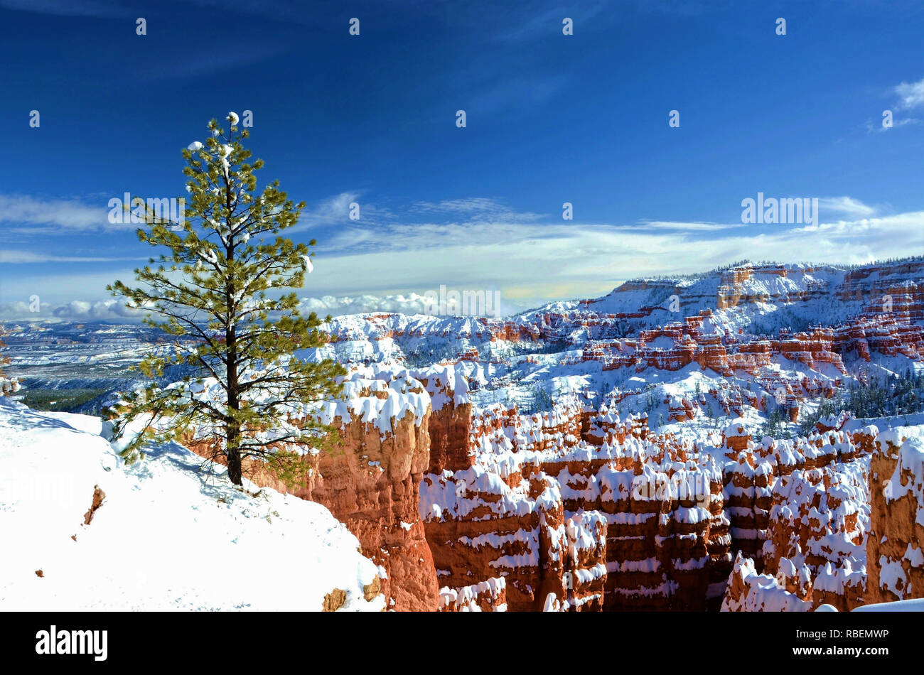 Bryce Canyon National Park, Sunset Point viewpoint Stock Photo - Alamy