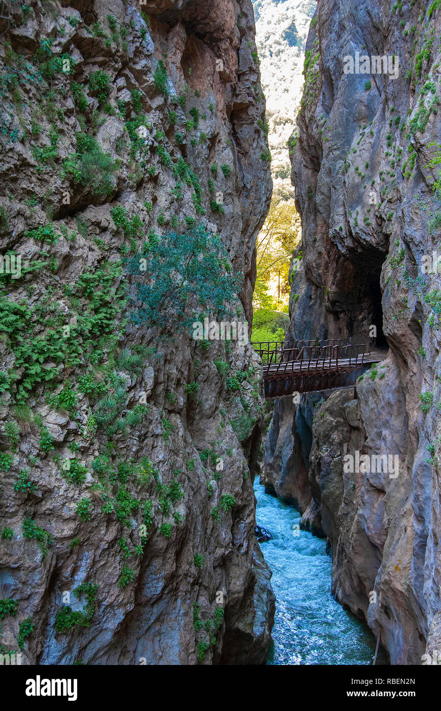 Railway bridge on the Kalavrita railway a 750mm gauge rack railway ...