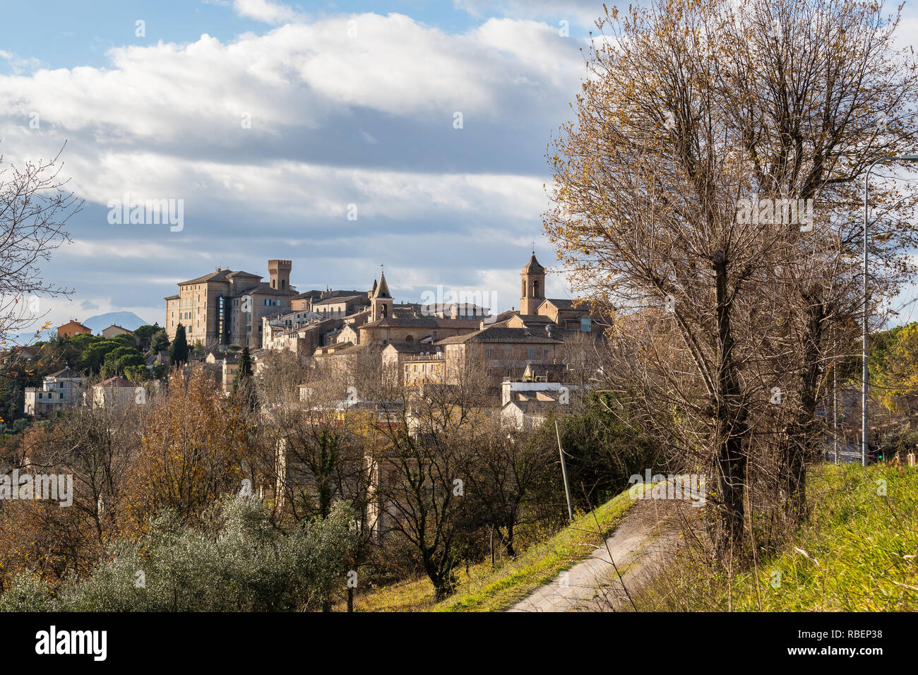 Ostra hi-res stock photography and images - Alamy