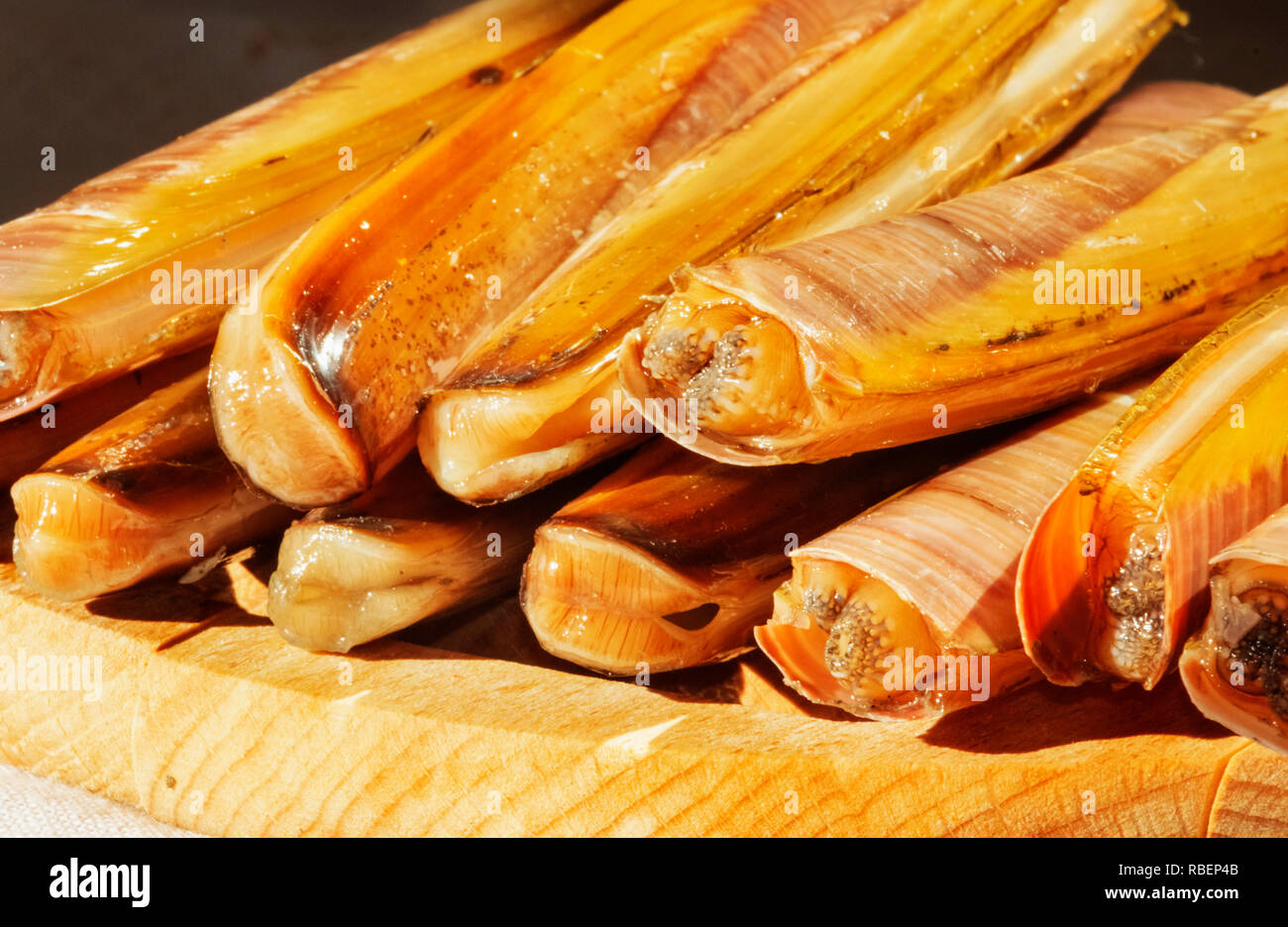 A pile of razor clams also called grooved razor shell or solen ...