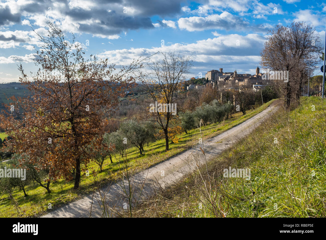 Ostra hi-res stock photography and images - Alamy