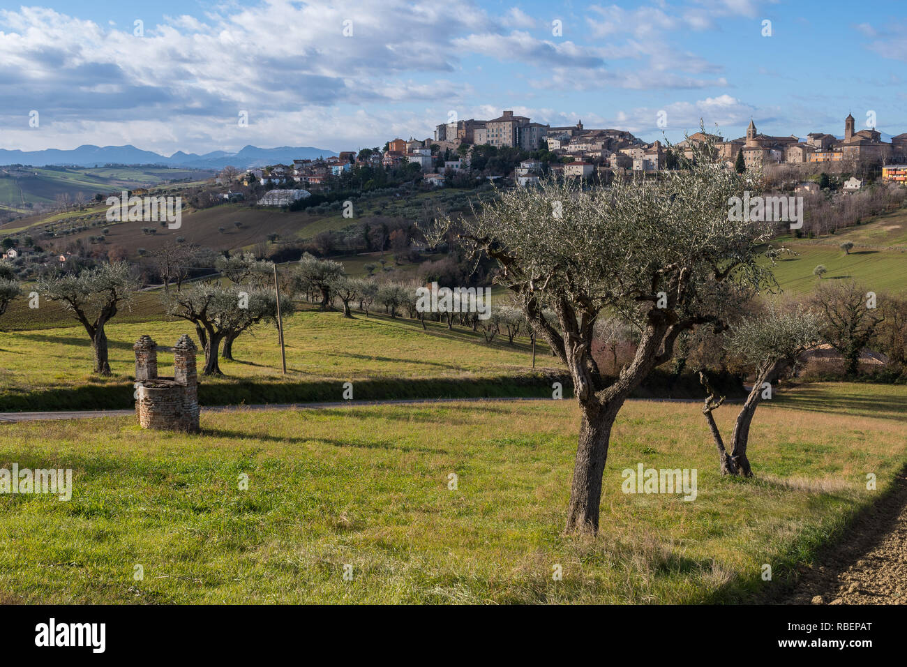 Ostra hi-res stock photography and images - Alamy