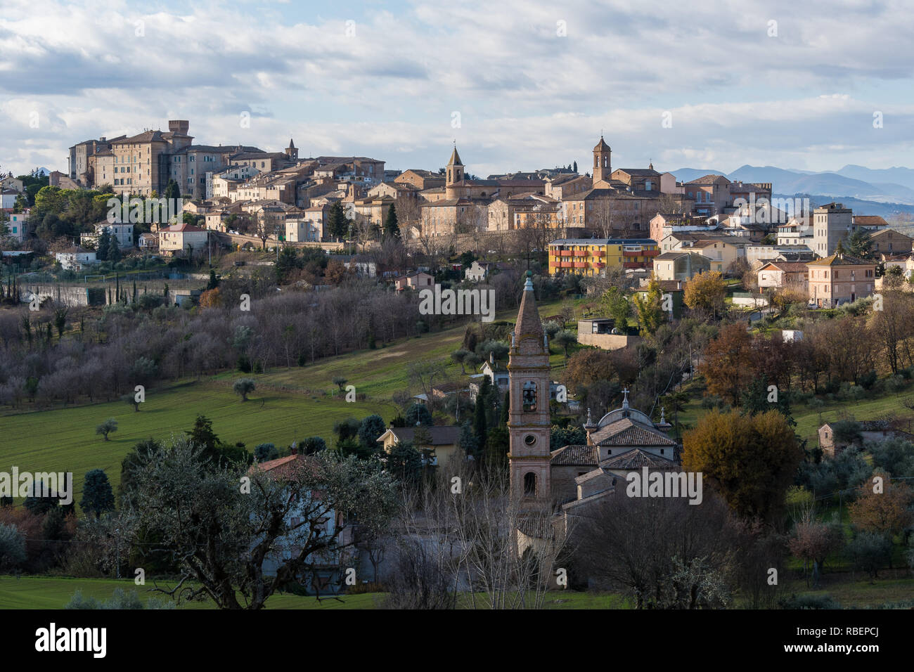 Ostra hi-res stock photography and images - Alamy