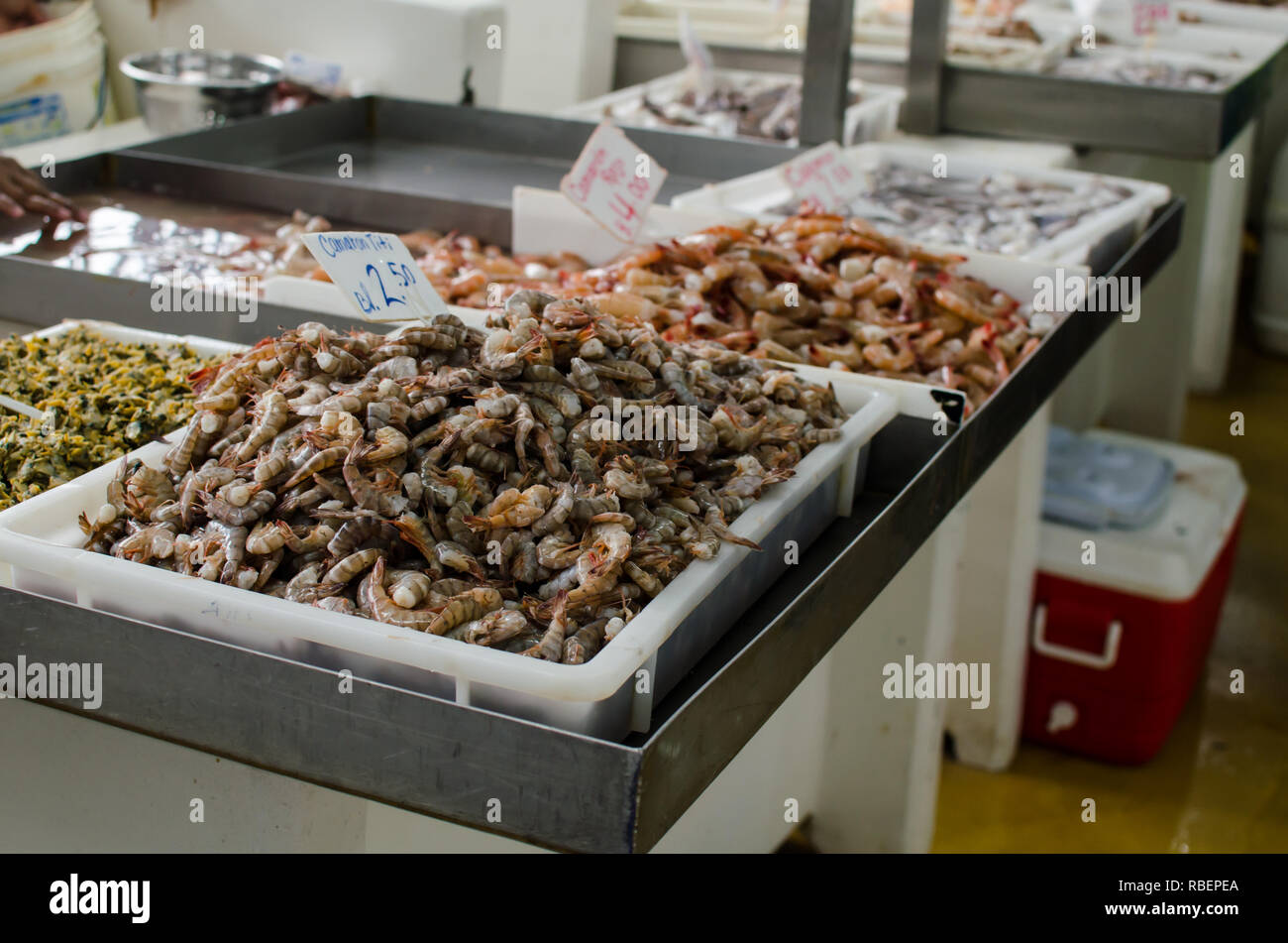 Panamanian Seafood