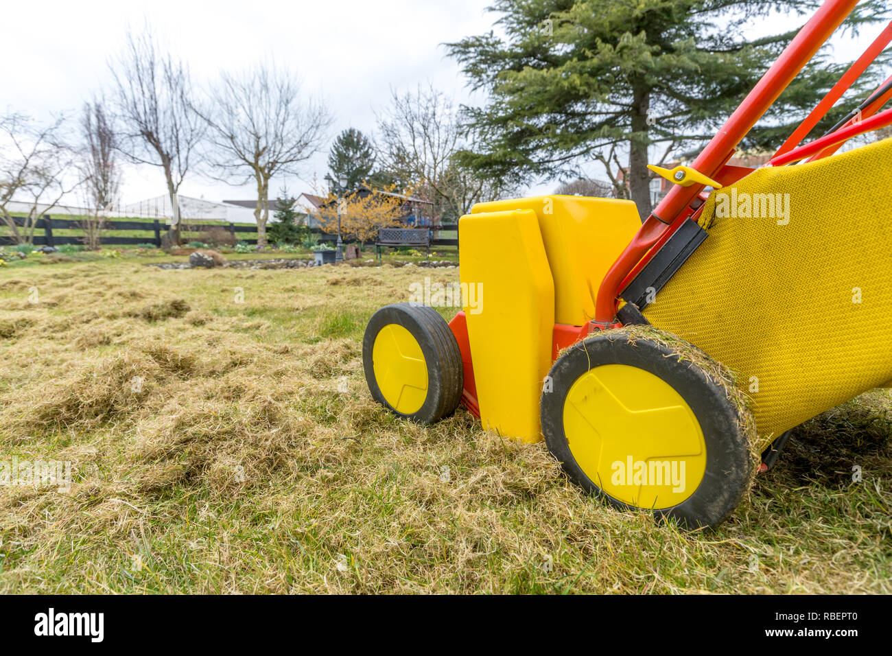 Scarifying hi-res stock photography and images - Alamy