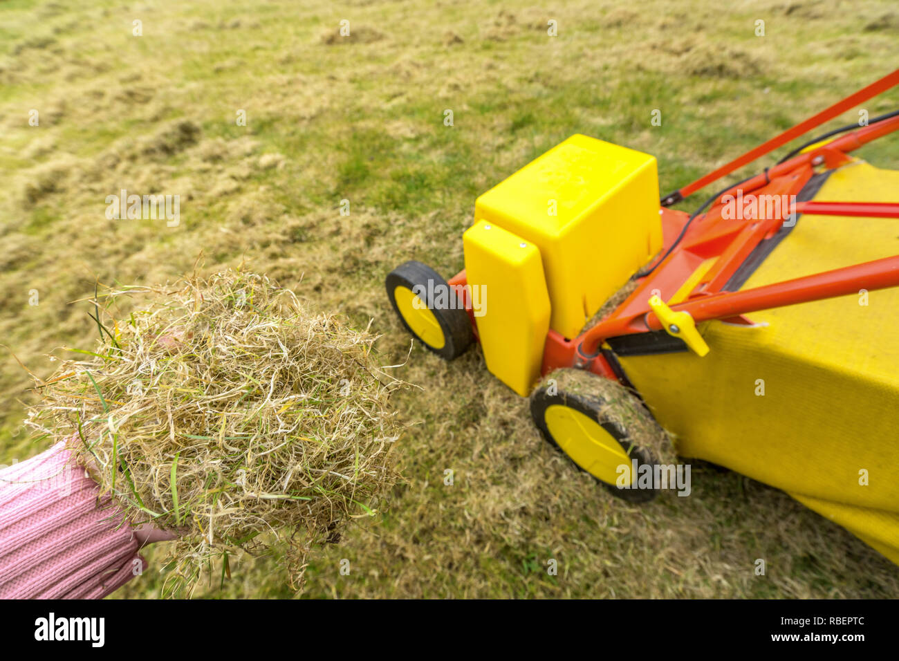 Scarifier hi-res stock photography and images - Alamy