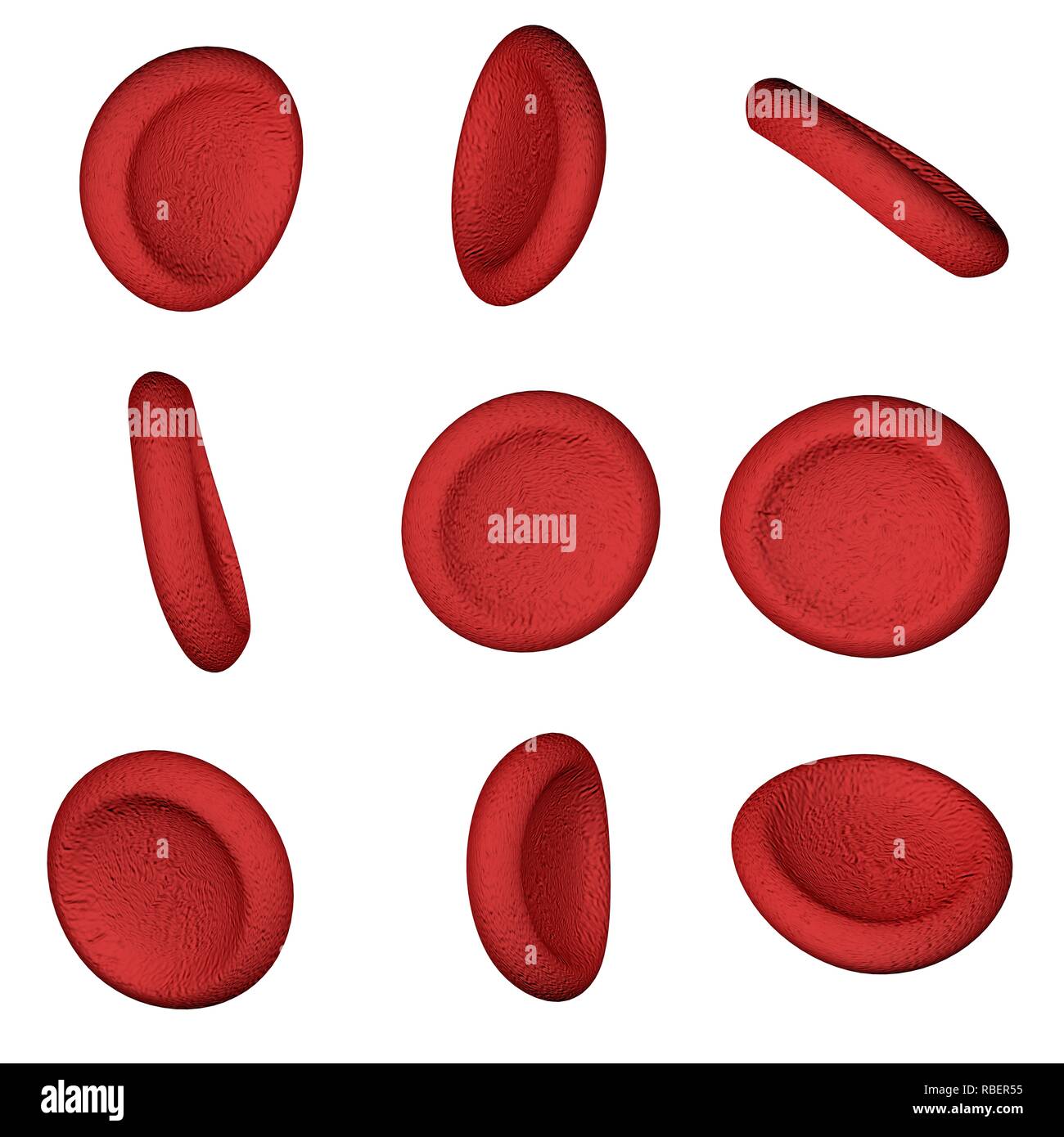 Collection of red blood cells in human blood. 3D illustration. White ...