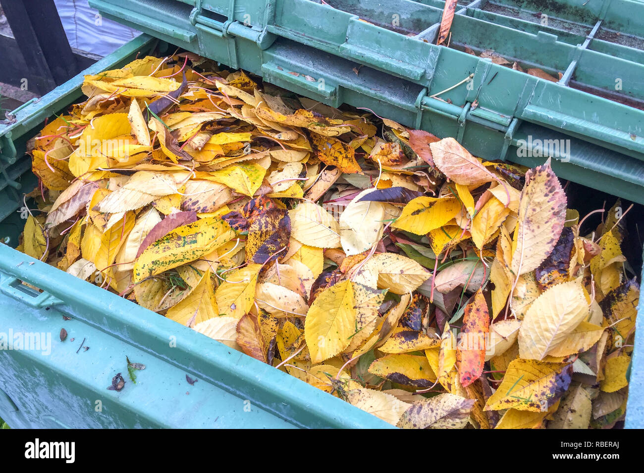 Compost plant mulch hi-res stock photography and images - Alamy