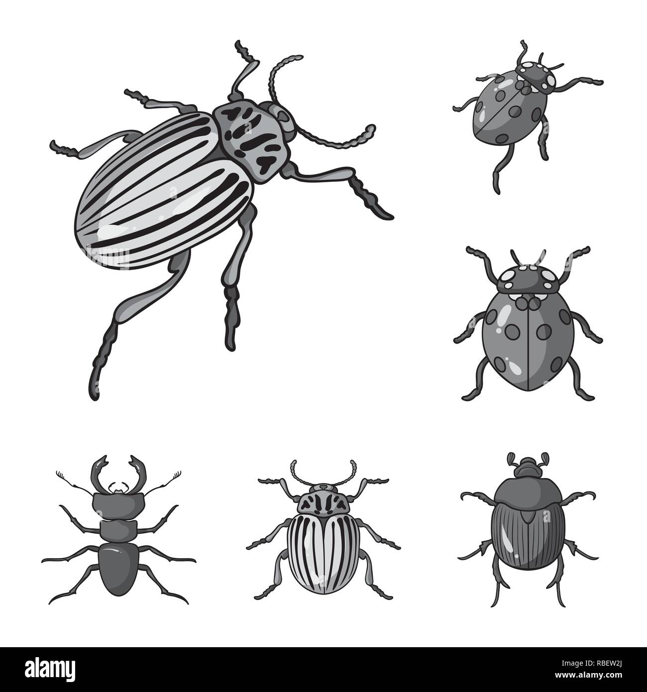 horn,ladybug,pest,bug,cockroach,insect,beetle,animal,halloween,drawn ...