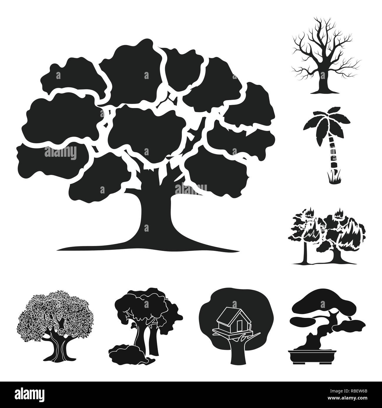 California black oak tree Stock Vector Images - Alamy
