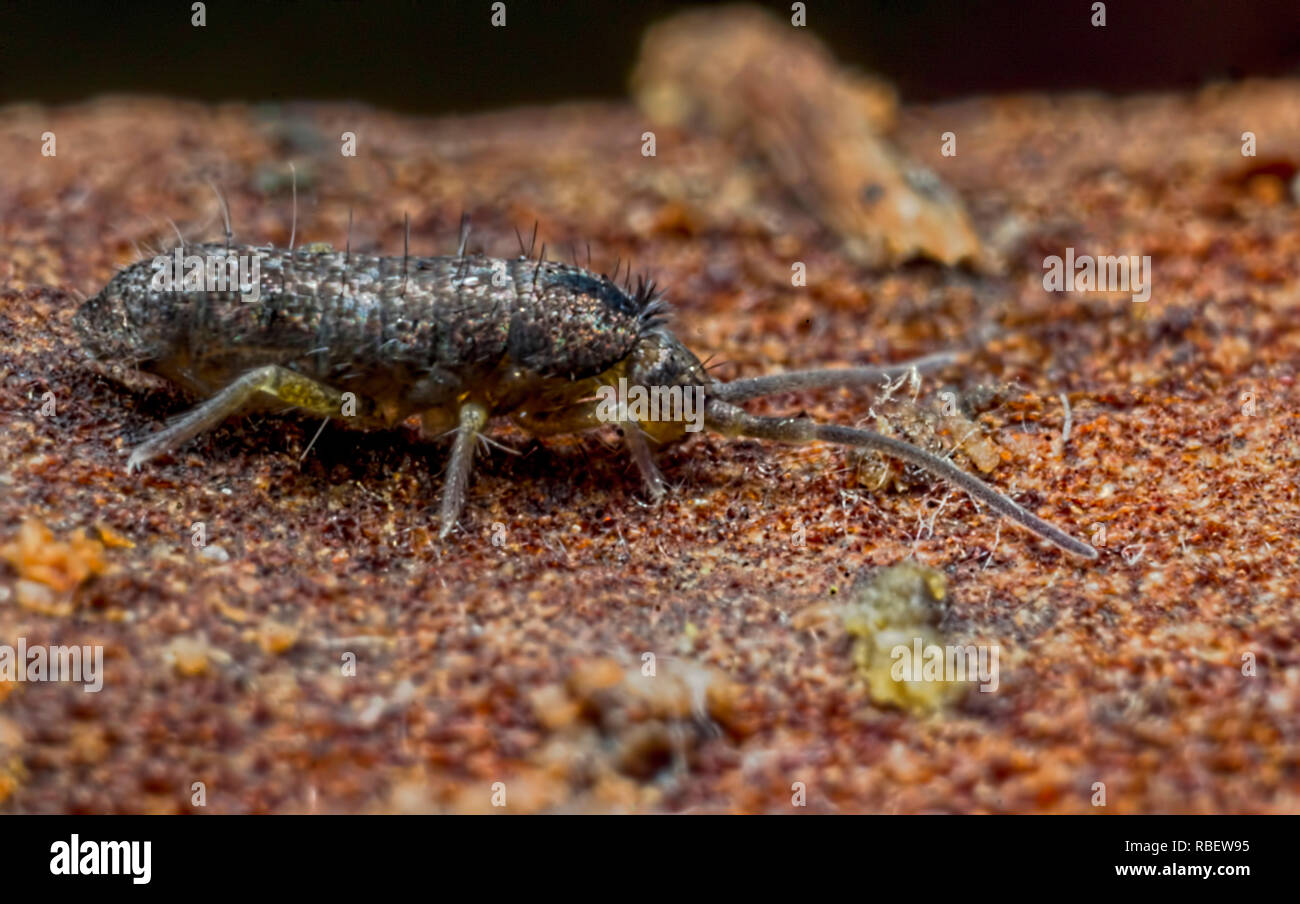 Images stiched hi-res stock photography and images - Alamy