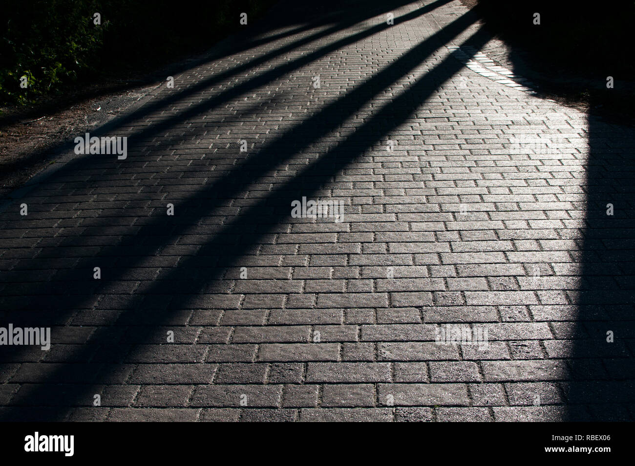 Long shadows on a road hi-res stock photography and images - Alamy