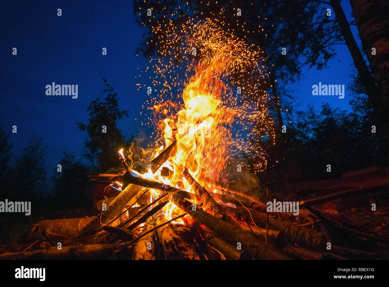 Bright fire on a dark night in forest glade Stock Photo - Alamy