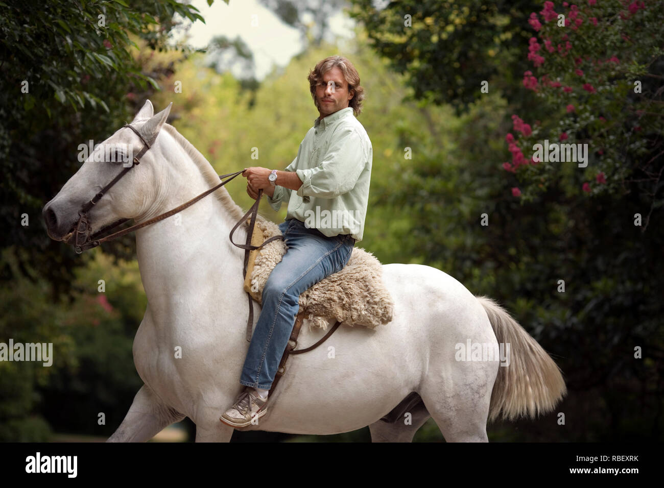 View of a man riding a horse Stock Photo - Alamy