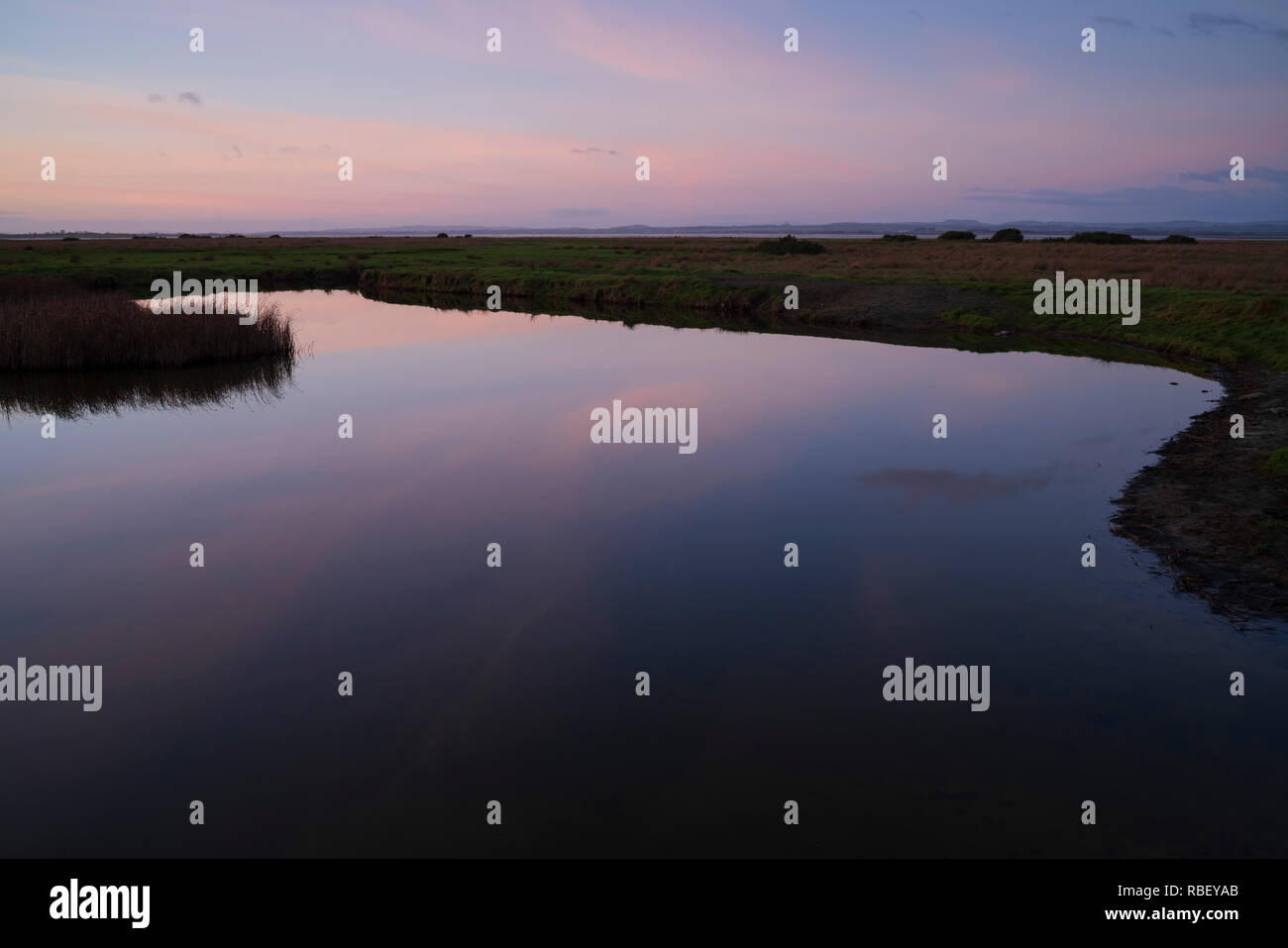 Salt marsh estuary hi-res stock photography and images - Alamy