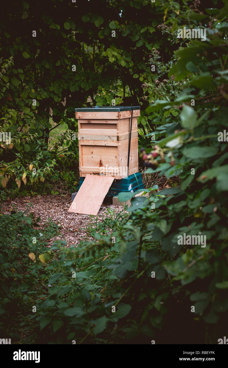 An isolated man-made beehive Stock Photo - Alamy