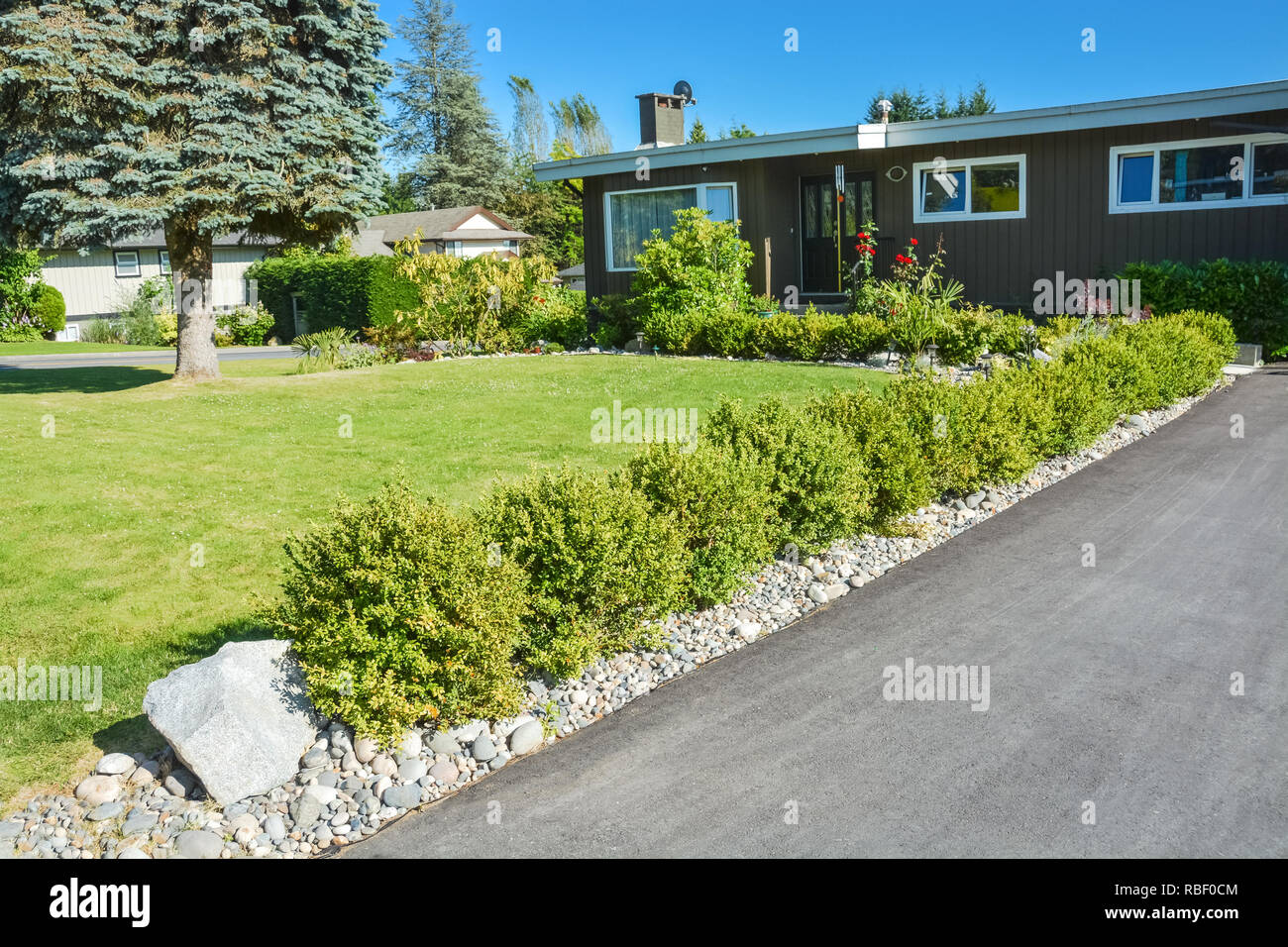 Front yard decorated with green bushes and asphalt driveway leading to ...