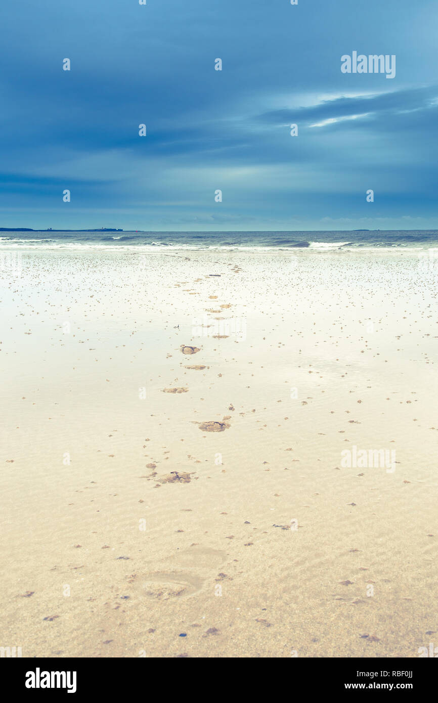 Footsteps on a beach Stock Photo - Alamy