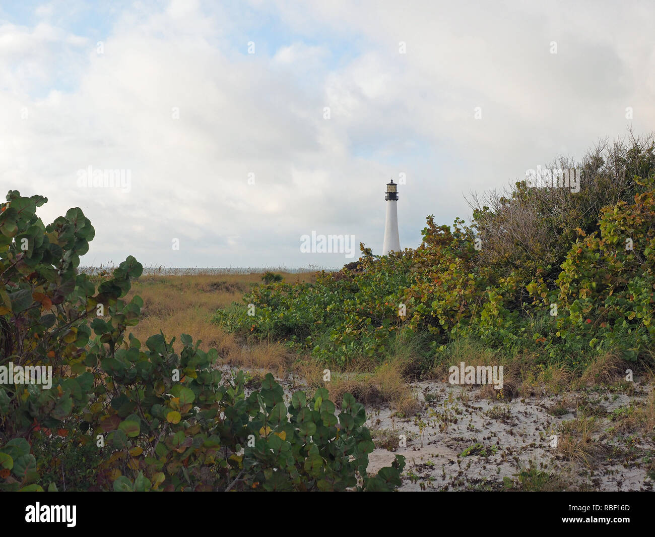 Cape Florida Lighthouse at Bill Baggs Cape Florida State Park in Key ...