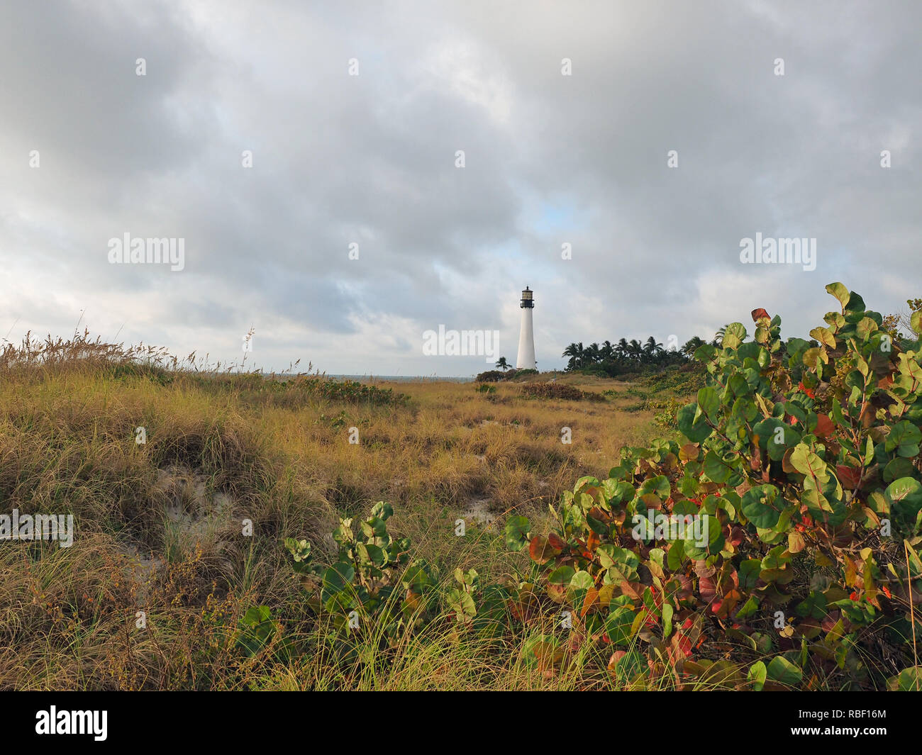 Cape Florida Lighthouse at Bill Baggs Cape Florida State Park in Key ...