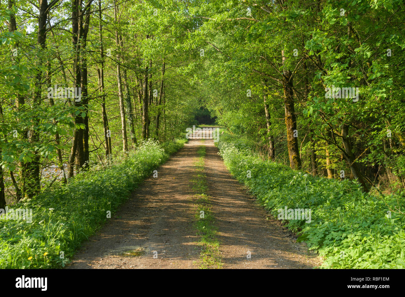 Spring baden hi-res stock photography and images - Alamy