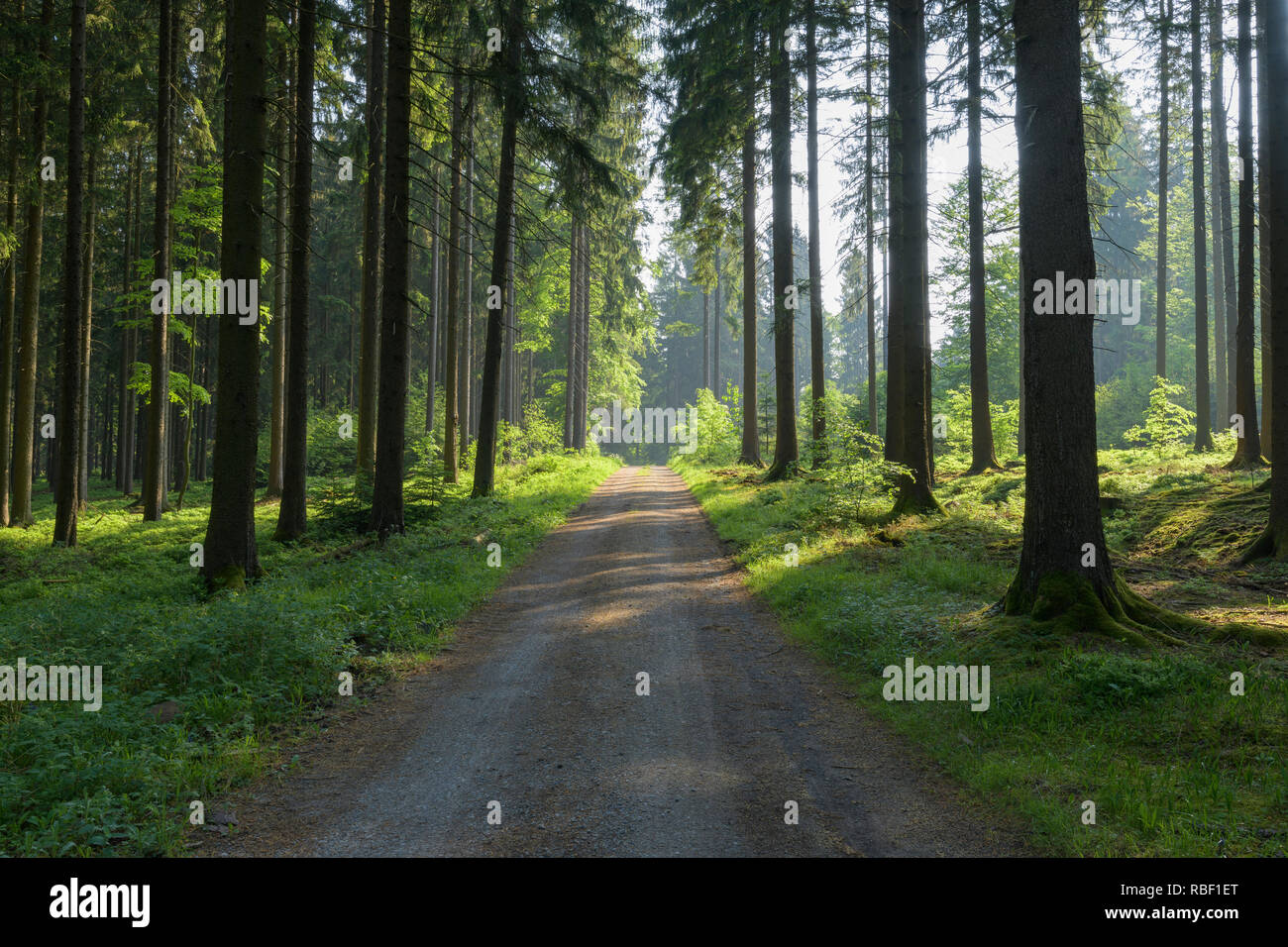 Spring baden hi-res stock photography and images - Alamy