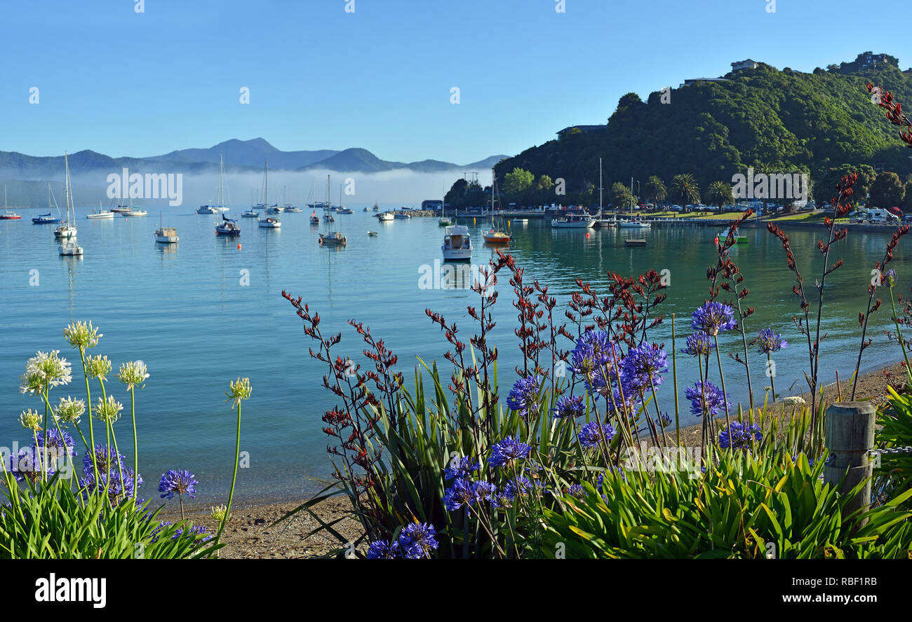 Waikawa Bay Stock Photos & Waikawa Bay Stock Images - Alamy