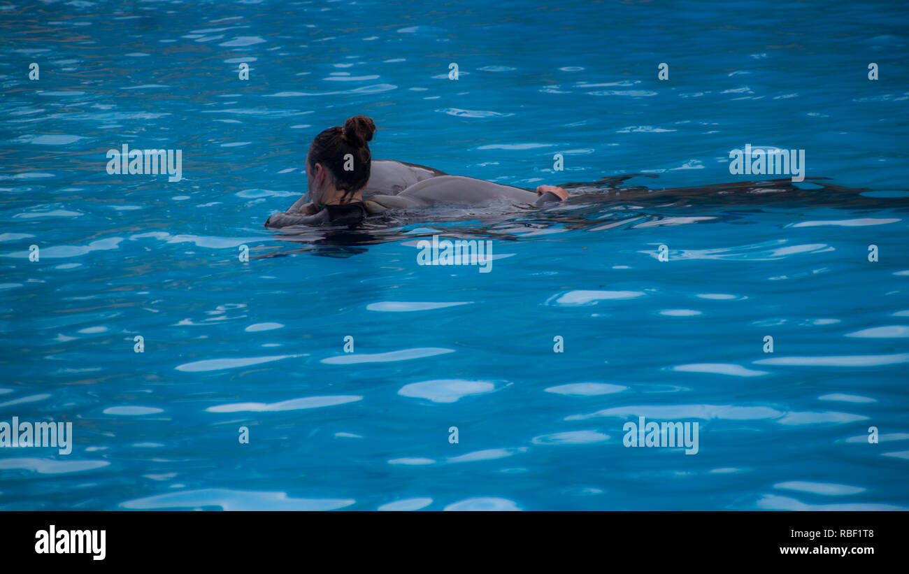 Dolphin love hi-res stock photography and images - Alamy