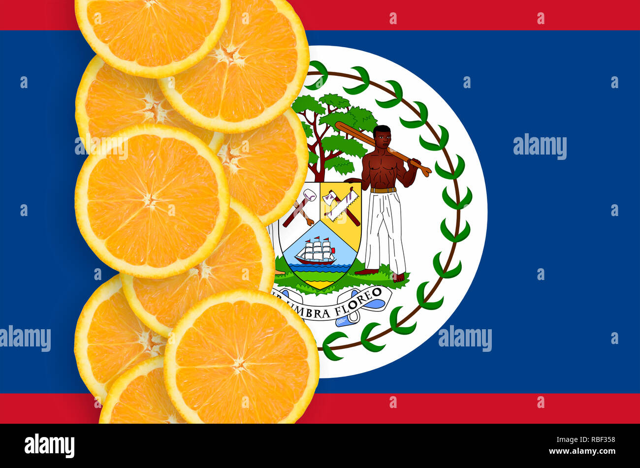 Belize flag and vertical row of orange citrus fruit slices. Concept of ...