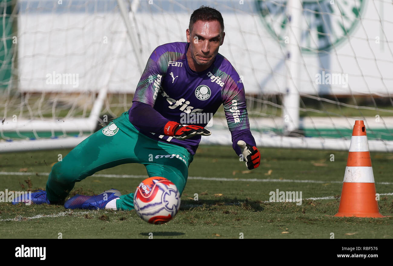 SÃO PAULO, SP - 09.01.2019: TREINO DO PALMEIRAS - Goalkeeper Fernando ...